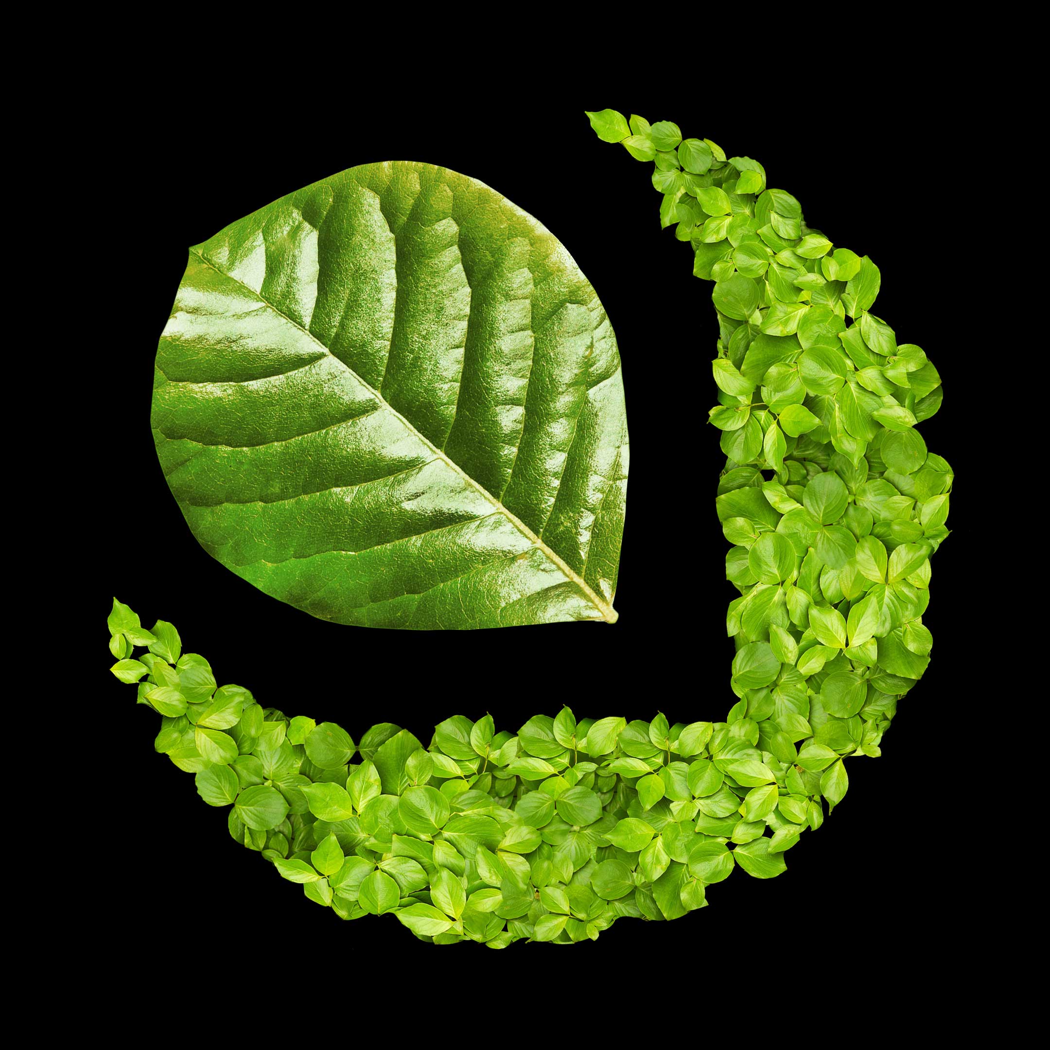 Earth Day – www.shopaptera.com | Aptera Partner